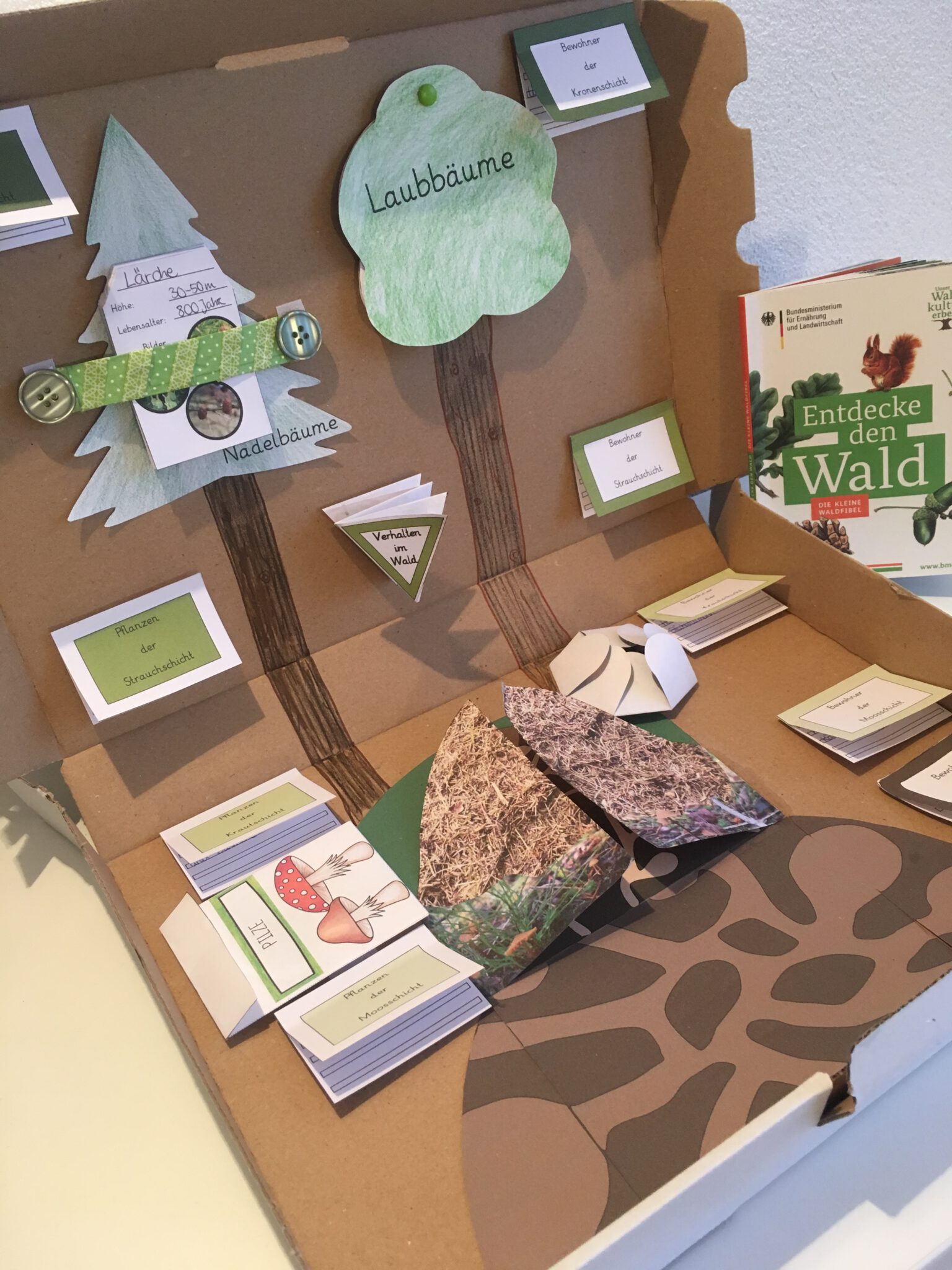 Postprojektarbeit Zum Thema Wald